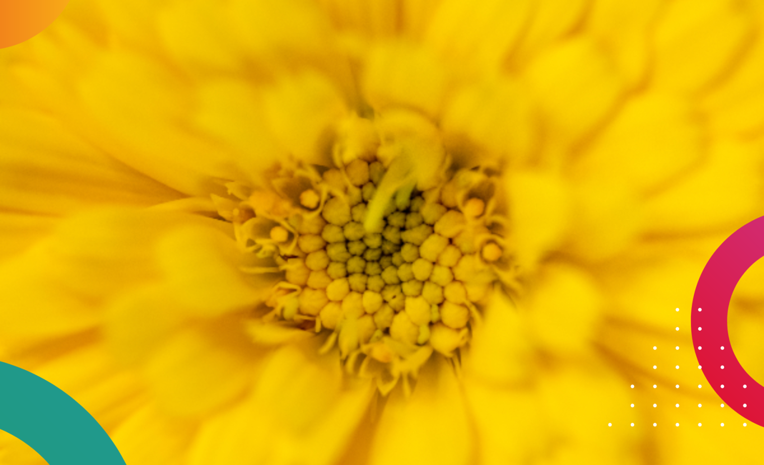 Best Colours To Pair With Yellow - Sanders Design